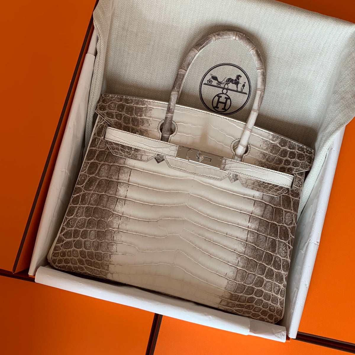 Hermès Exotic Skin Bags — The French Hunter